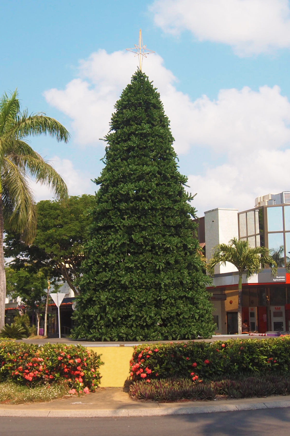 Commercial Trees - Artificial Xmas Tree Warehouse
