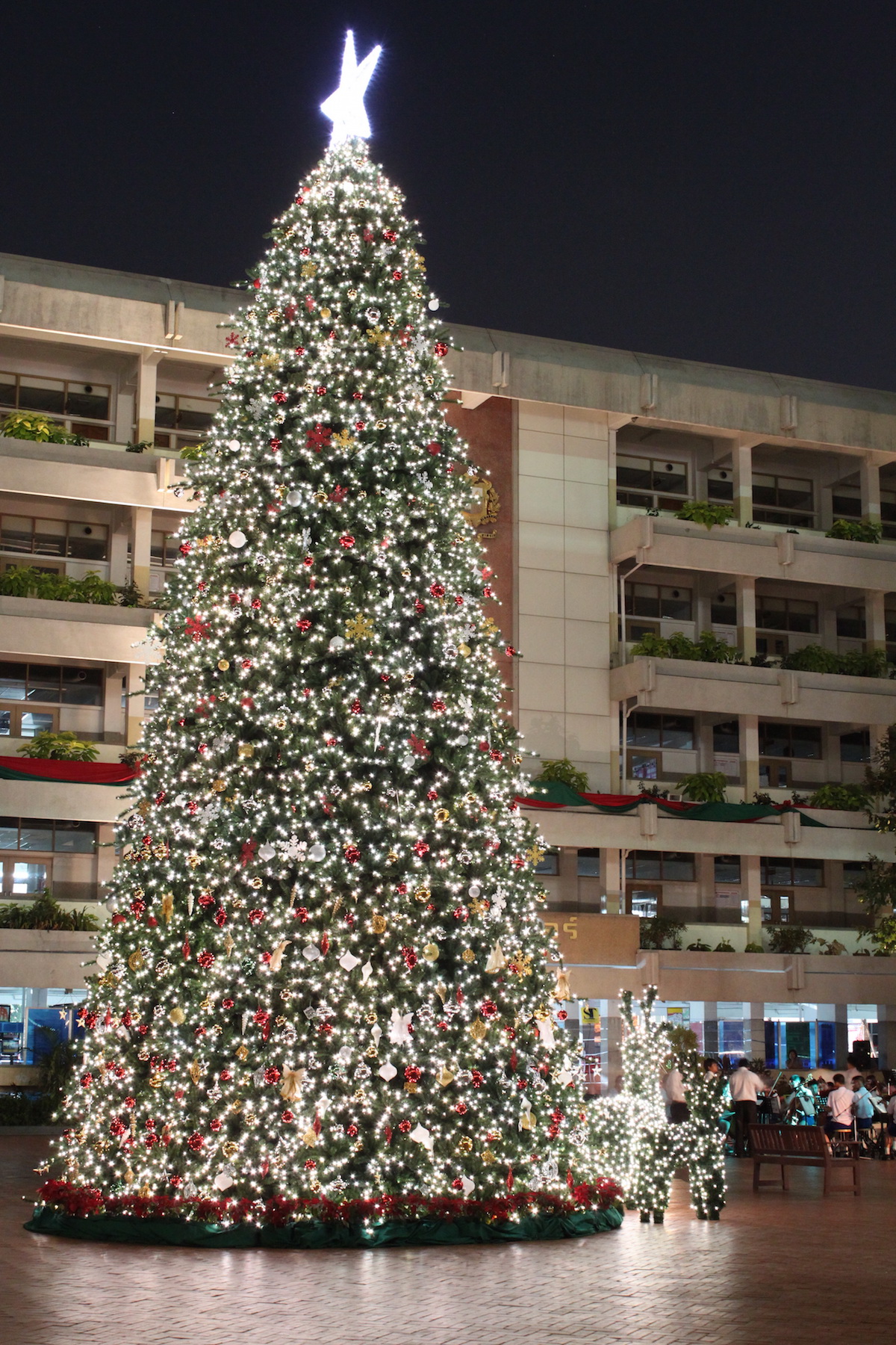 Outdoor Trees - Artificial Xmas Tree Warehouse