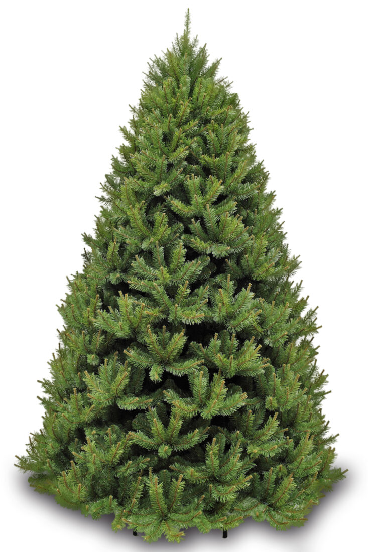 Large & Extra Large - Artificial Xmas Tree Warehouse
